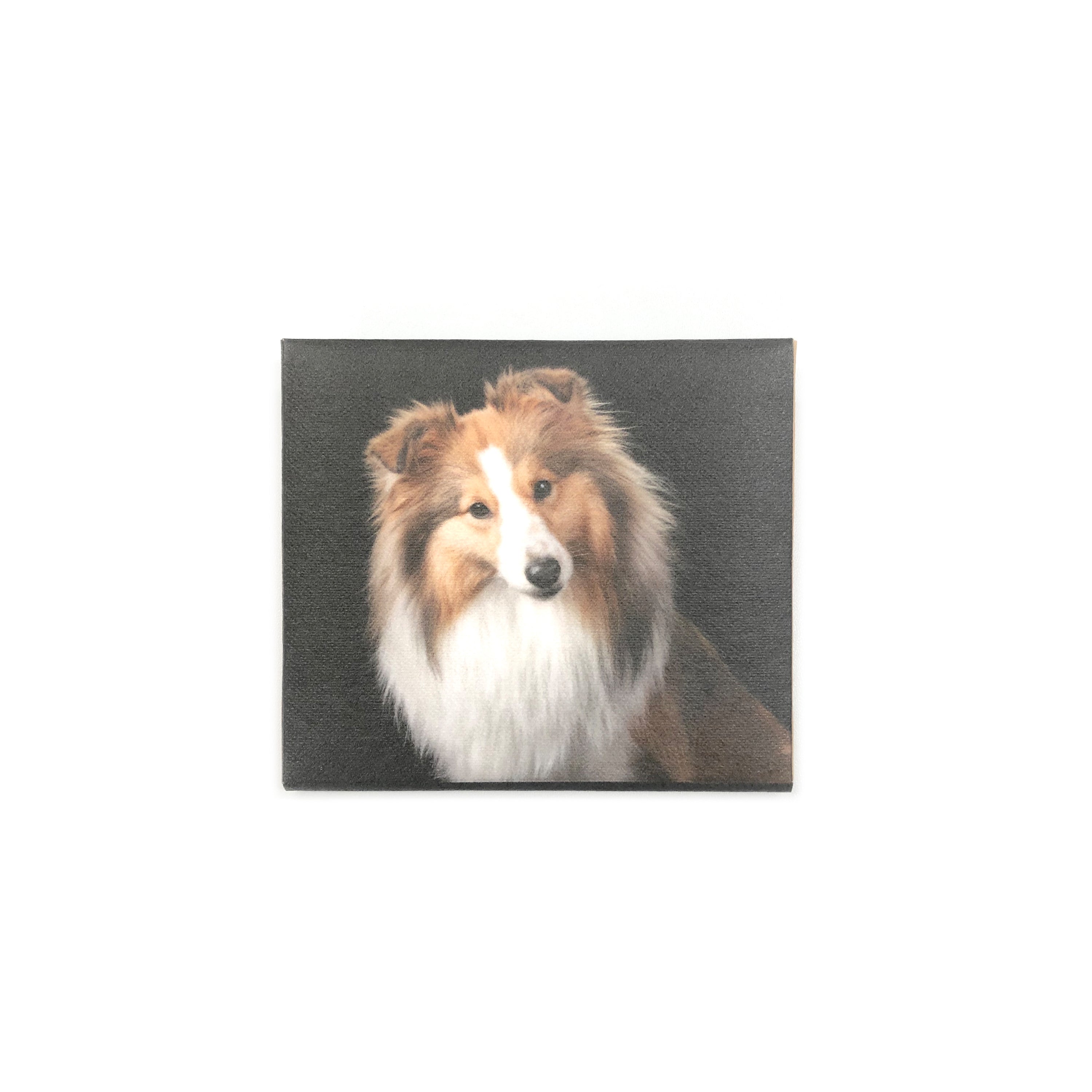 MASKfolio S [Sheltie]